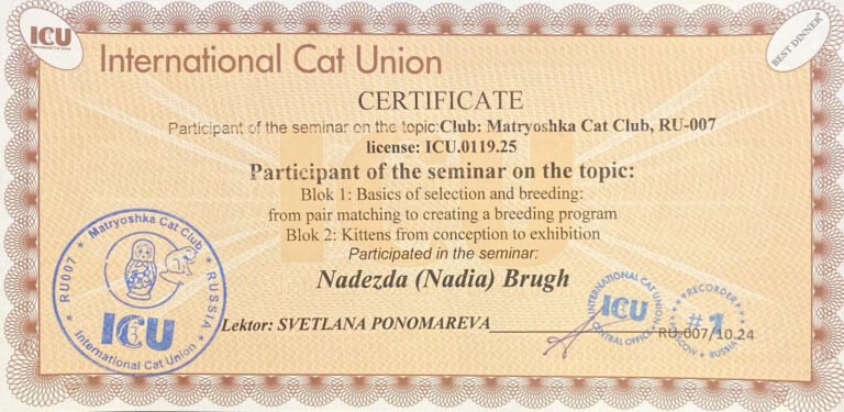 Certificates - Cats Bring Joy
